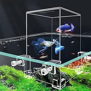 TREELF Complete Set of Negative Pressure Fish Tank, Ecological Aquarium ...