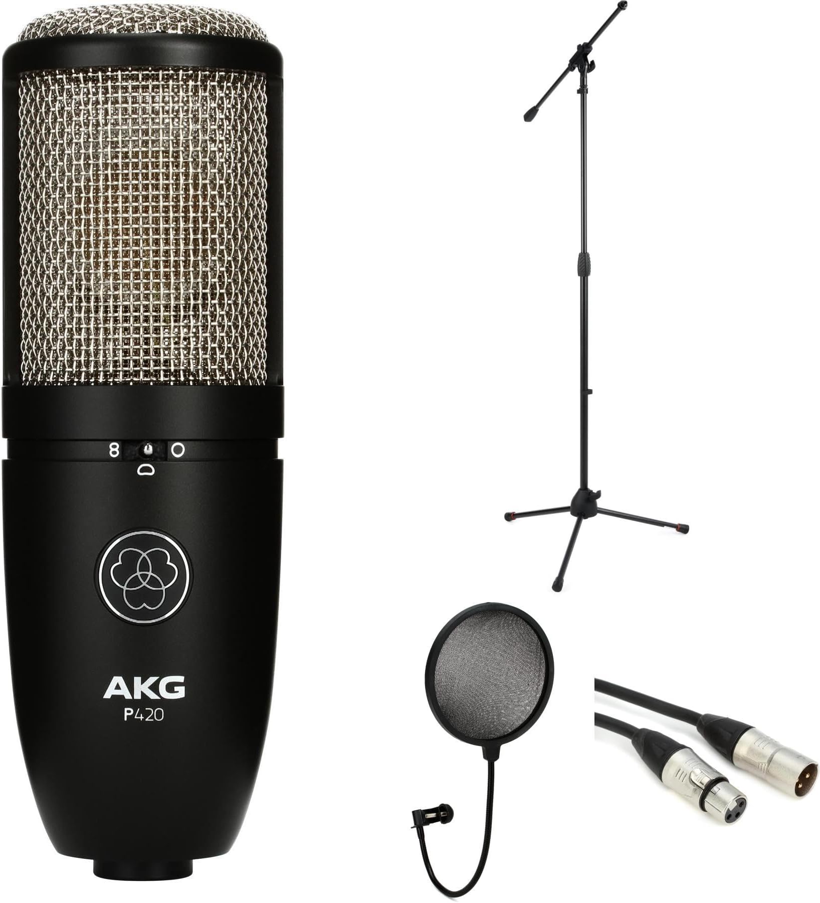 Amazon.com: AKG P420 Large-Diaphragm Condenser Microphone Package ...