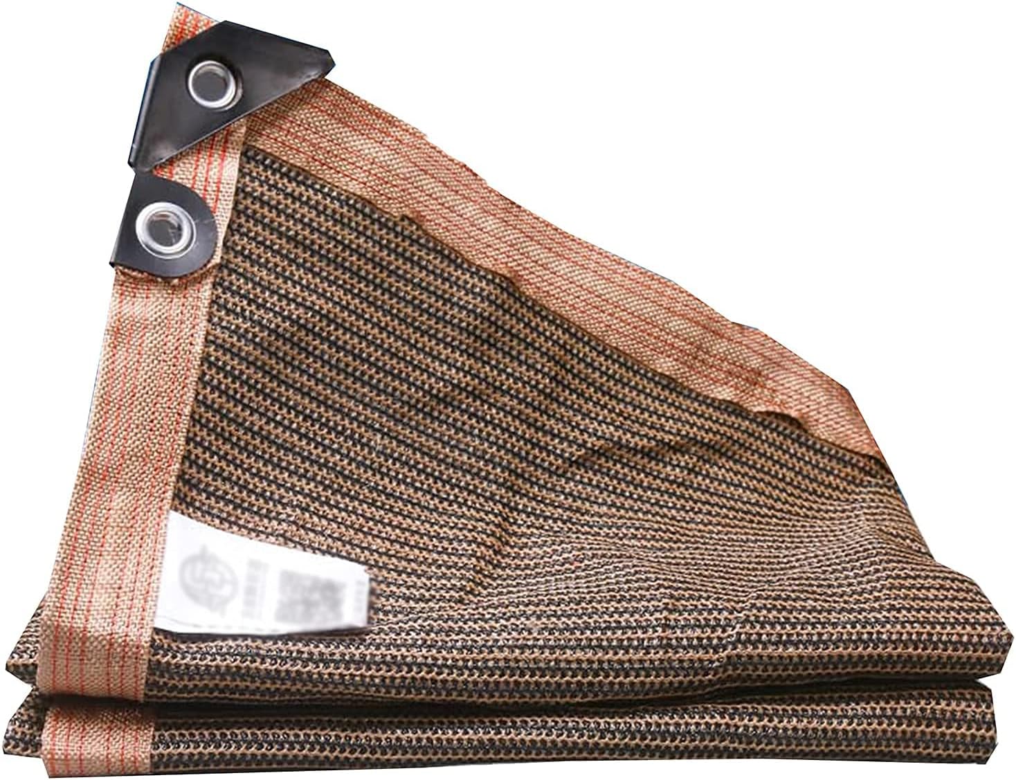 Life Size Model Human Skull Replica - Human Resin Skull Muscle Skeleton ...