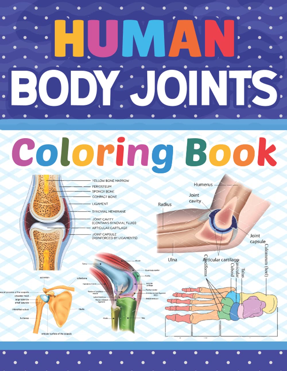 Buy Human Body Joints Coloring Book: Learn The Human Body Joints ...