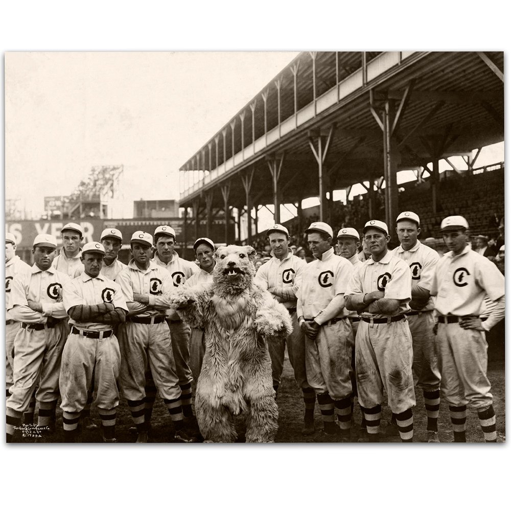 Amazon.com: 1908 Chicago Cubs Vintage Baseball Team Photo with Mascot ...