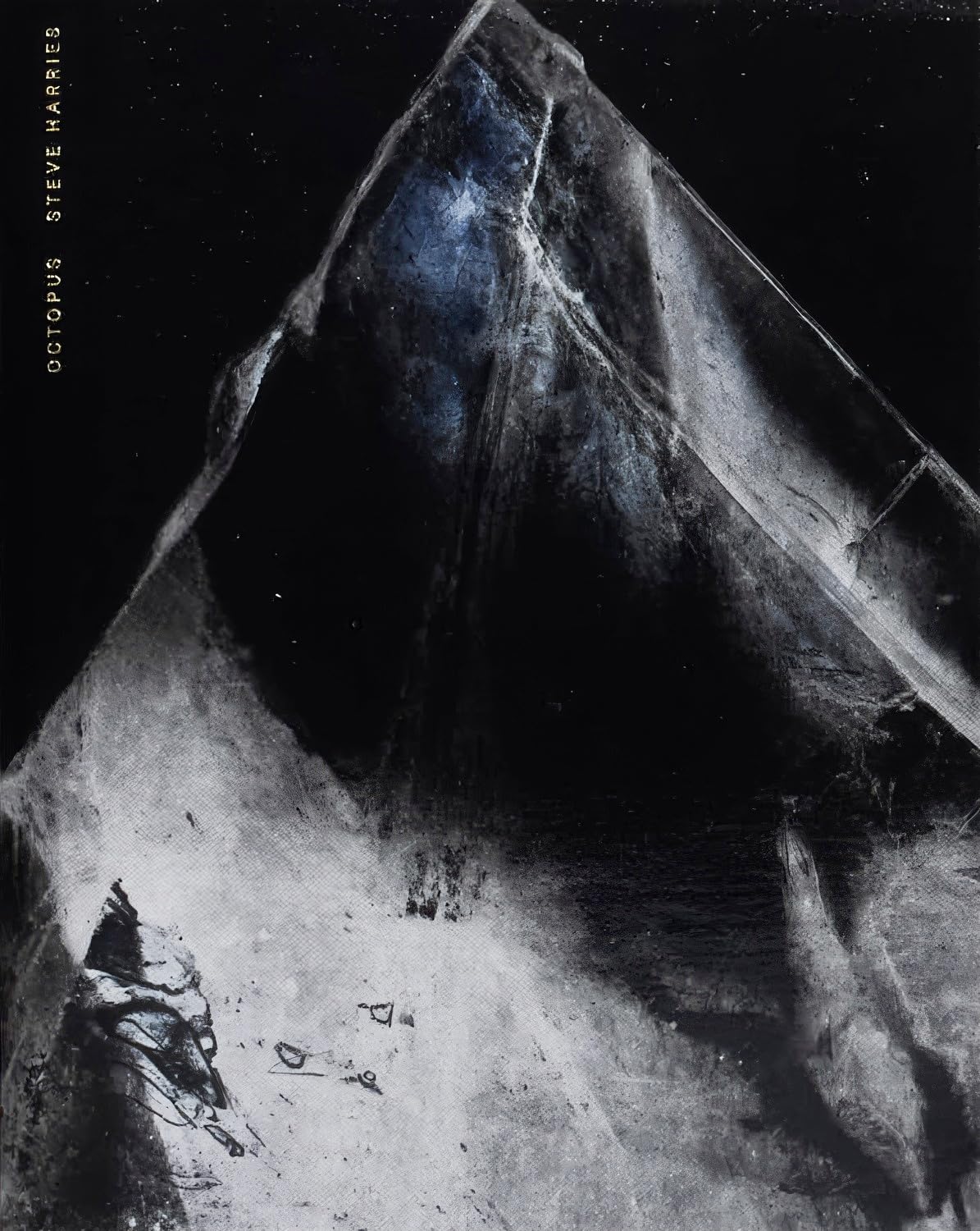 Steve Harries Octopus /anglais: HARRIES STEVE: 9782492175251: Amazon ...