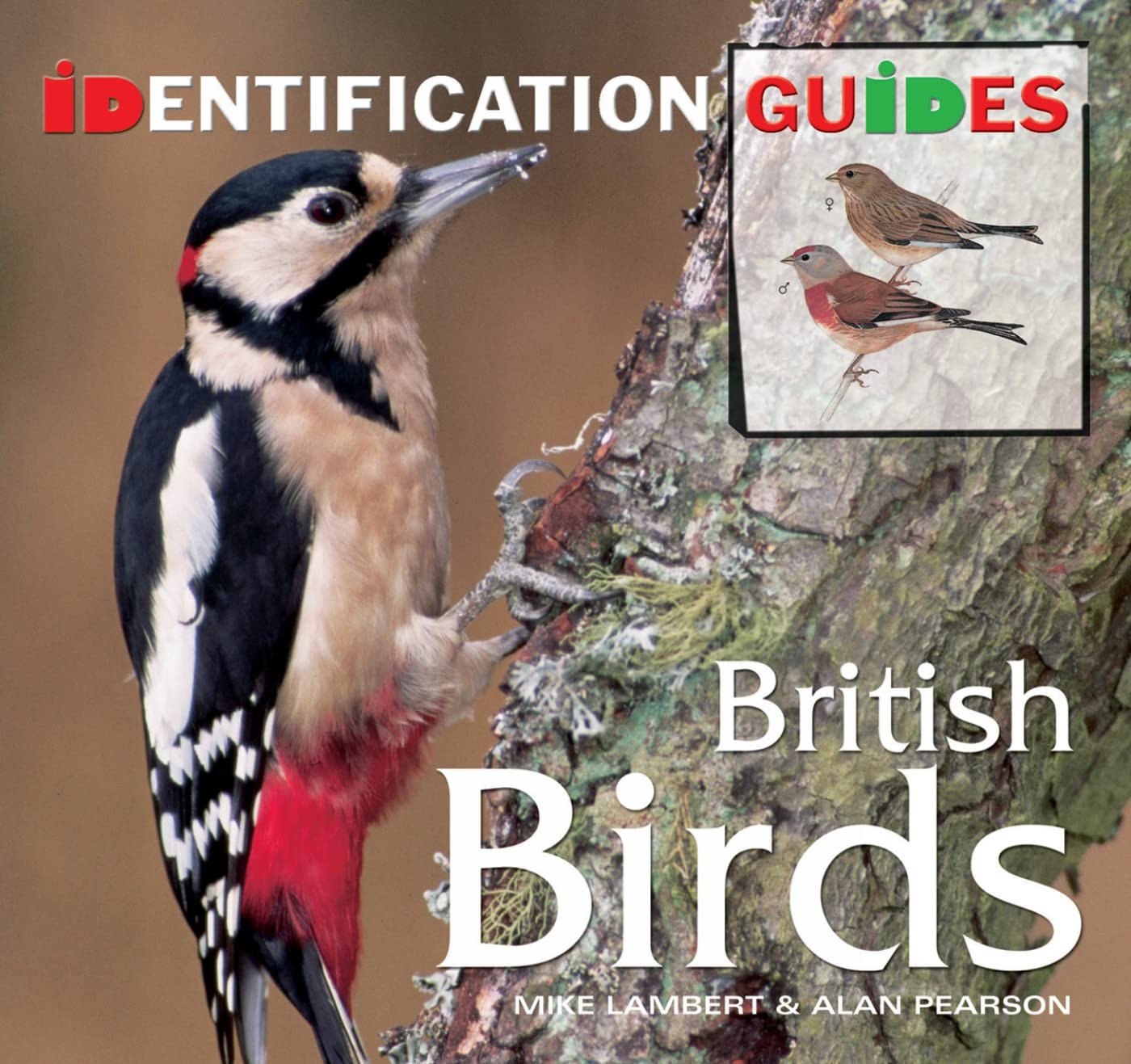 British Birds: Identification Guide (Identification Guides): Amazon.co ...