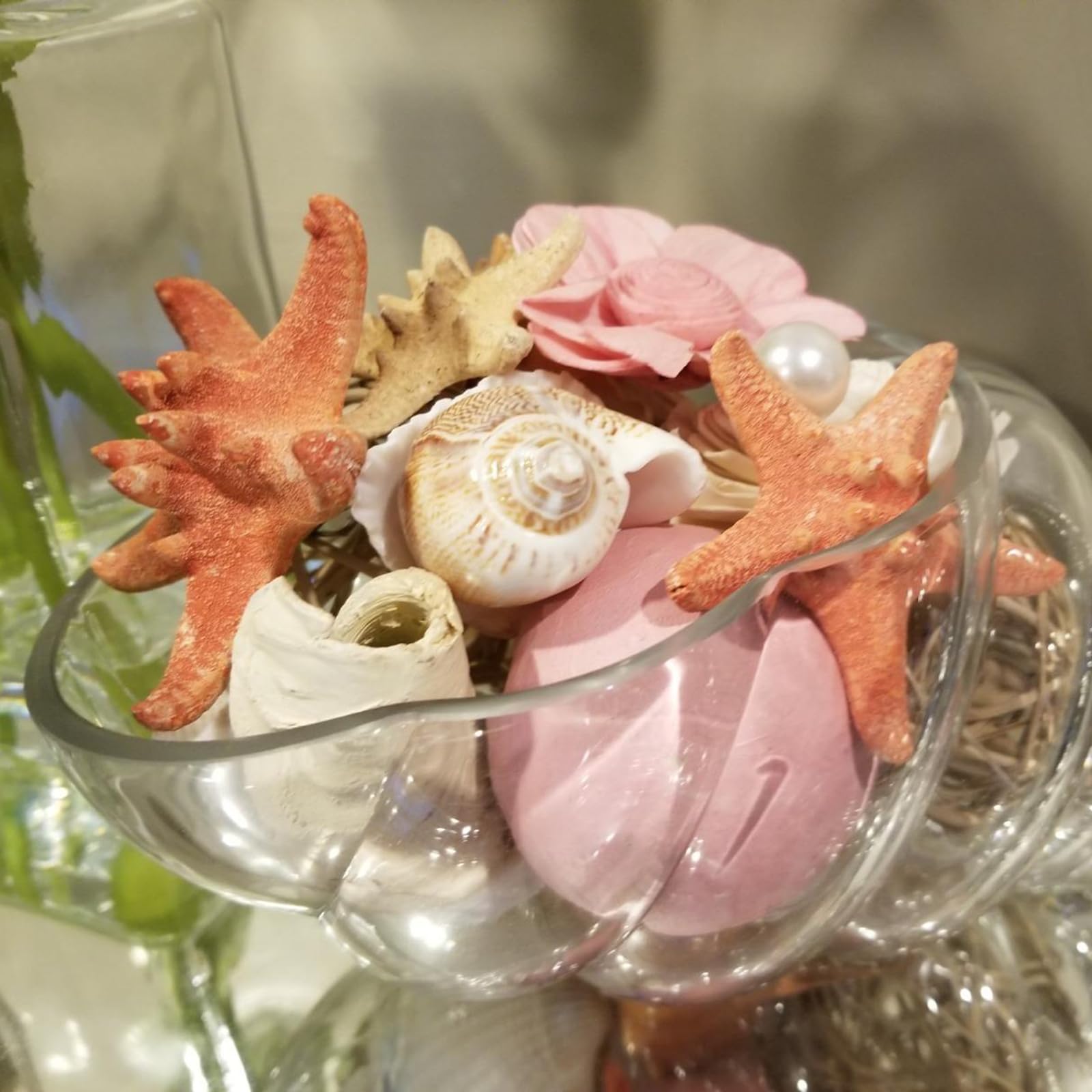 TOPZEA Glass Shell Vase, 11 Inch Clear Potpourri Holder Seashell ...