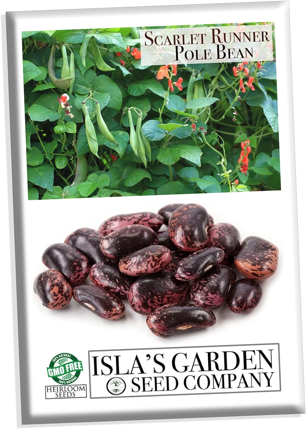Amazon.com : Pink Half 1/2 Runner Bean Heirloom Premium Seed Packet ...