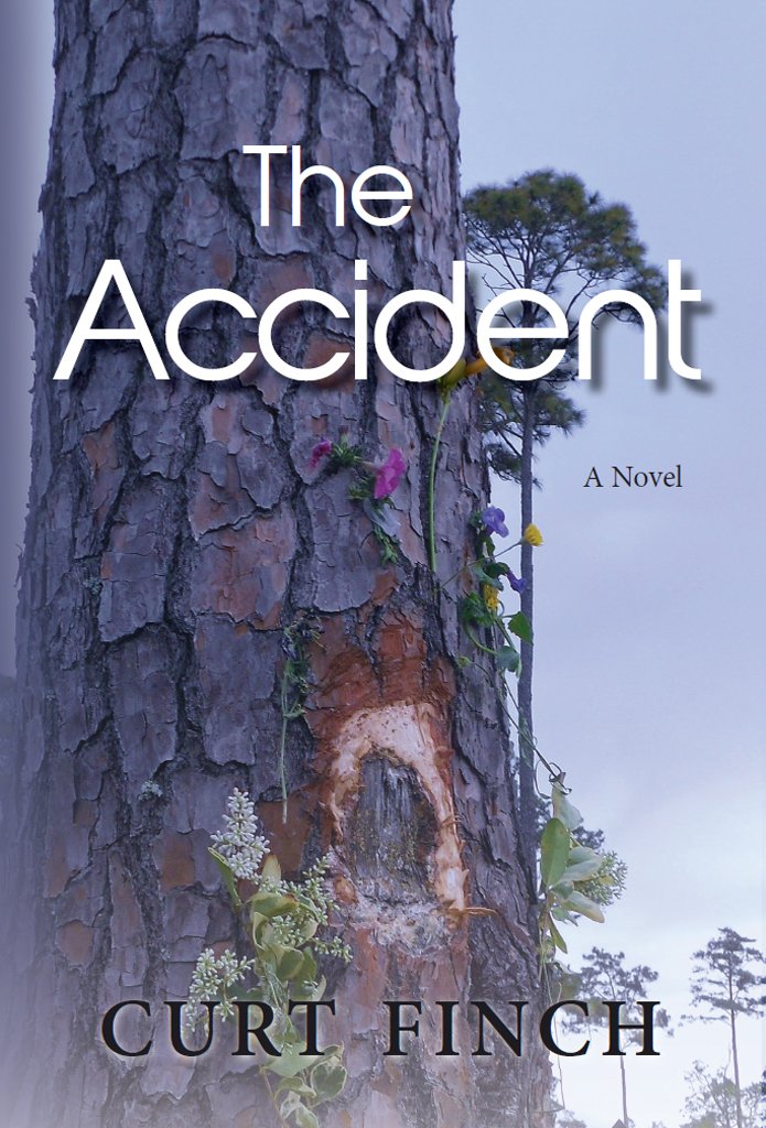 The Accident: A Novel - Kindle edition by Finch, Curt . Literature ...