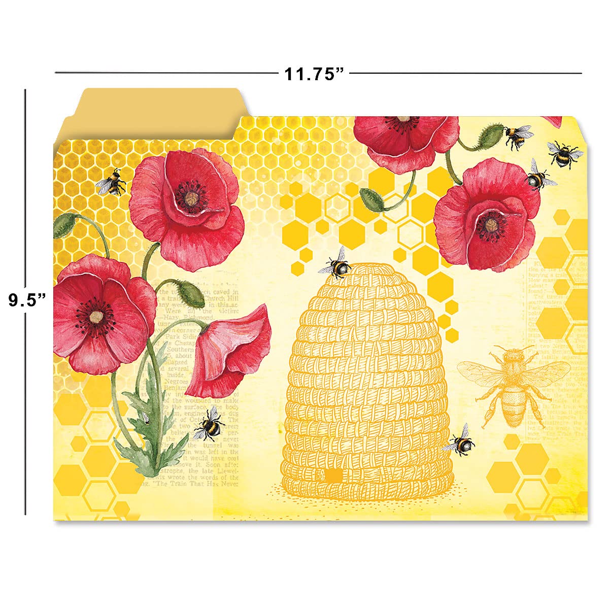 Snapklik.com : Bee Friends File Folders Value Pack - Set Of 24