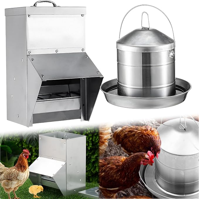 Amazon.com : Mifoci Stainless Steel 2.4 Gallon Chicken Waterer and ...