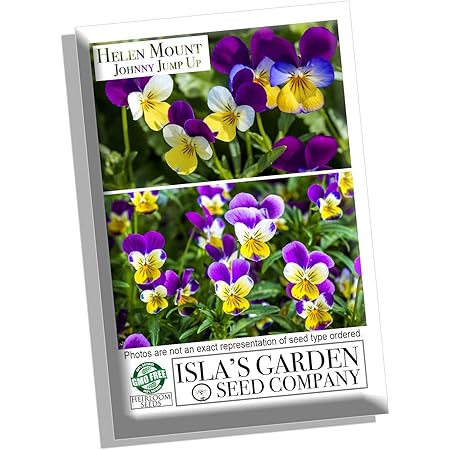 Amazon.com : 100 JOHNNY JUMP UP Violet Viola Tricolor Flower Seeds ...