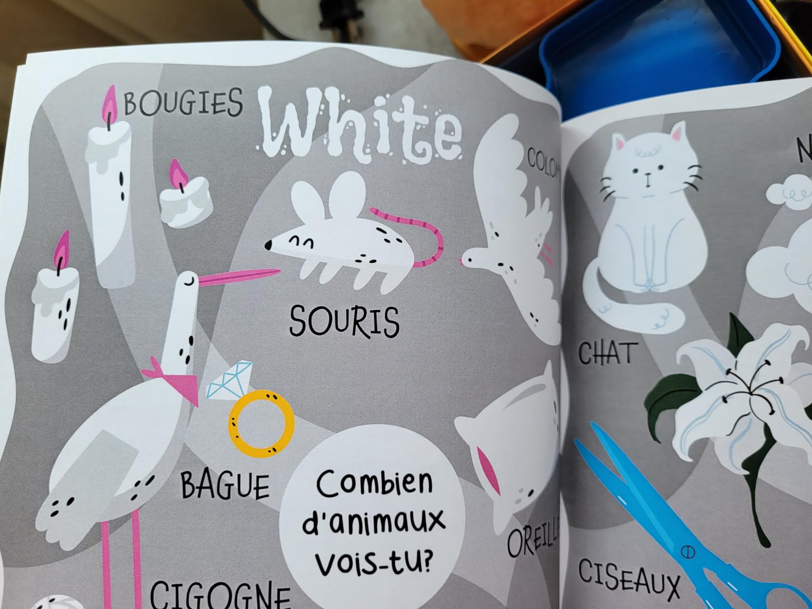 Cherche et trouve Les Couleurs: Mon Premier Imagier Animaux et objets ...