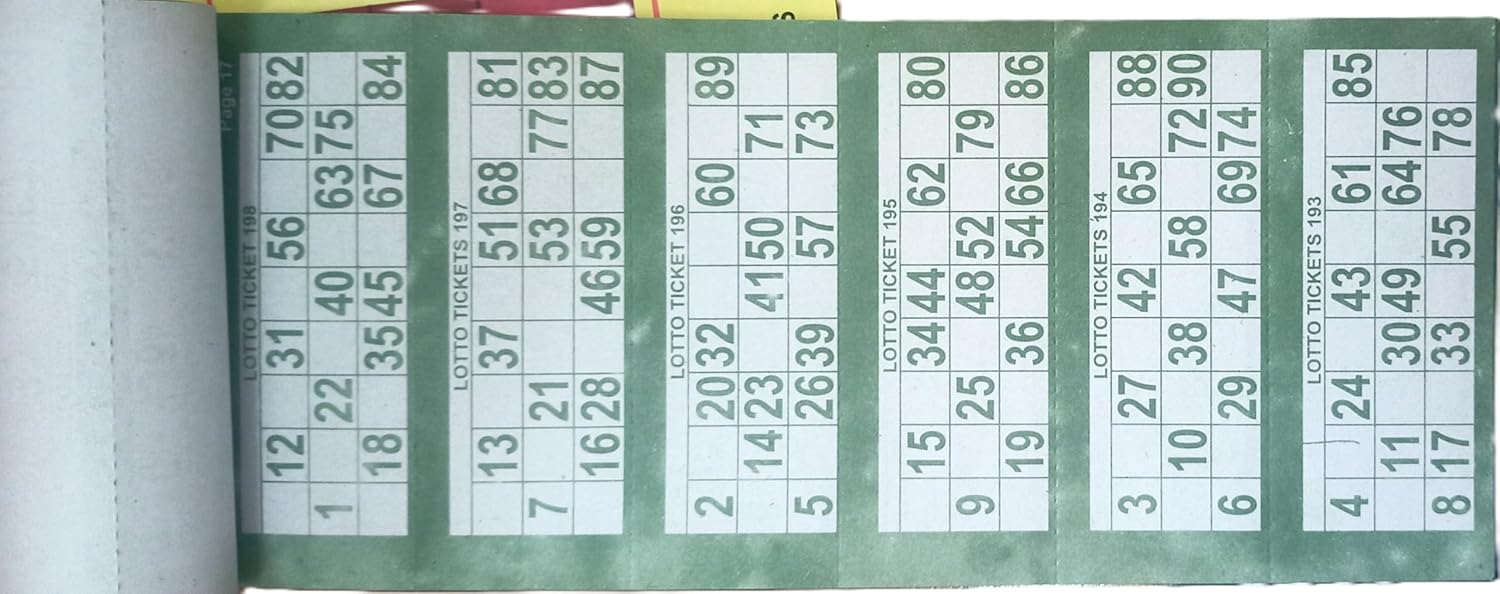 Amazon.com: Tambola Game Set, 1200 Indian Housie Tickets, 2 Booklets ...