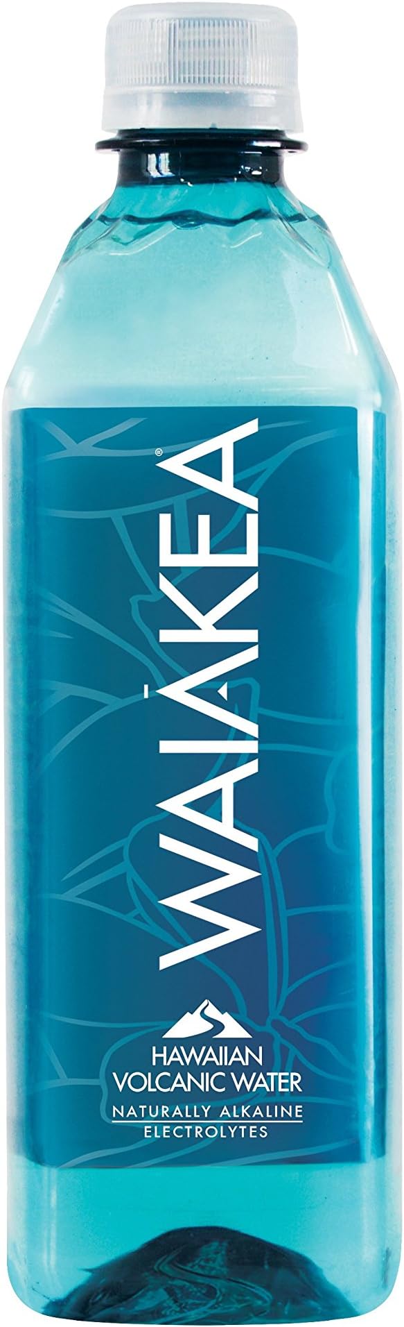 Amazon.com: Mountain Valley Water, Water Spring, 33.8 Fl Oz, 12 Pack ...