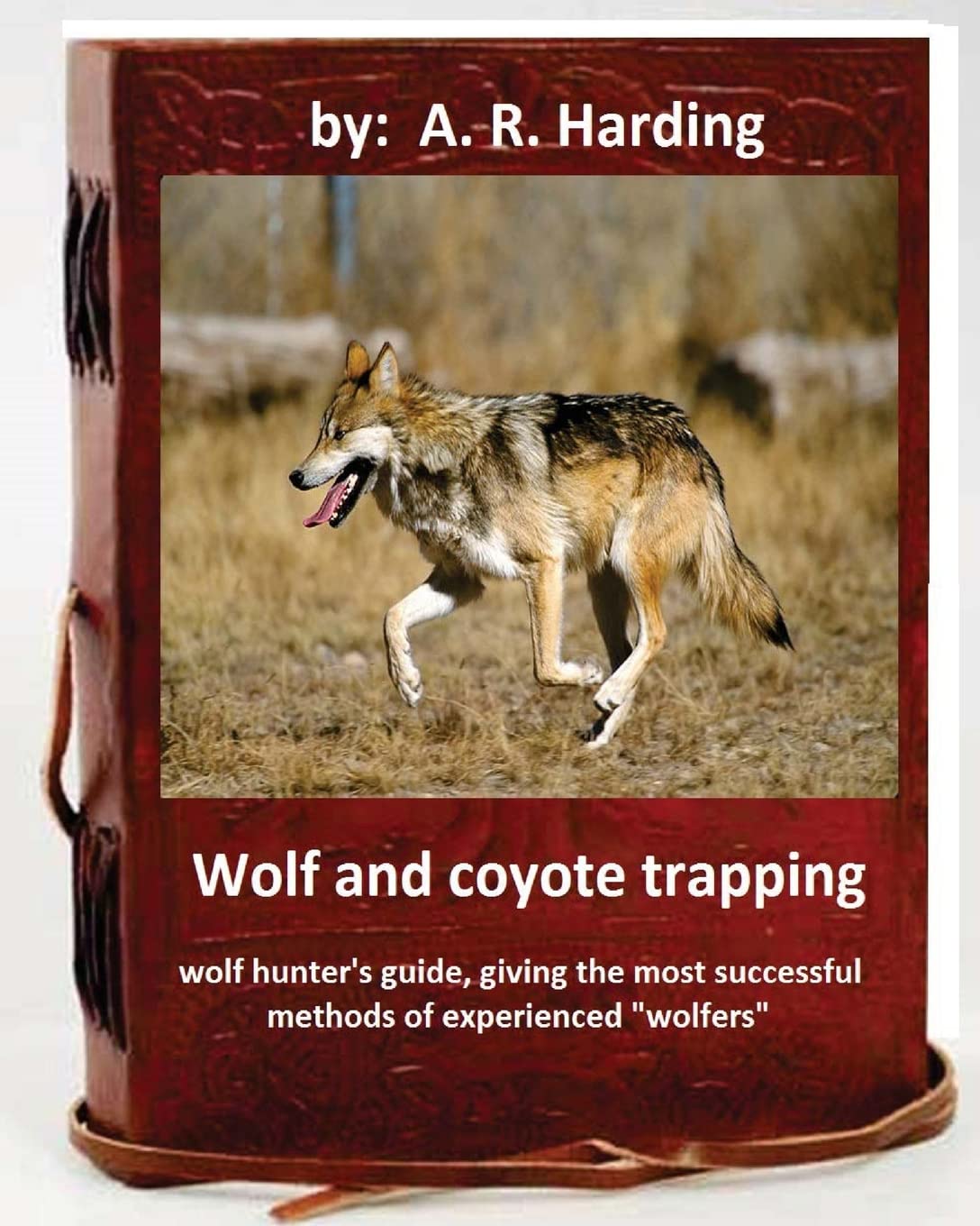 Wolf and Coyote Trapping.Guide, giving the most successful methods of ...