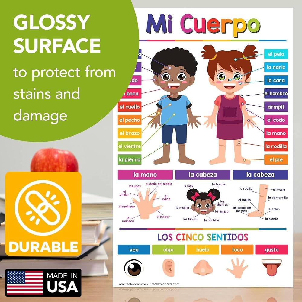Los Meses del Año Spanish Chart for Preschool to Bahrain | Ubuy