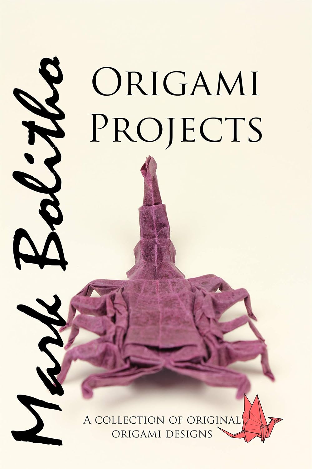 Origami Projects: A collection of original origami designs (Mark ...