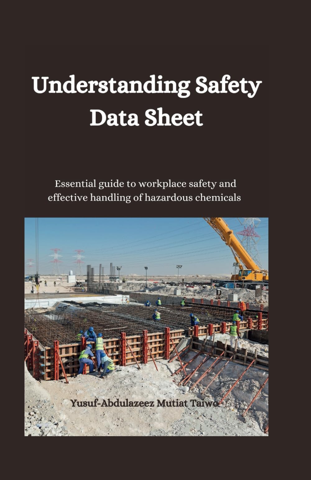 Buy Understanding Safety data sheet: Essential guide to workplace ...