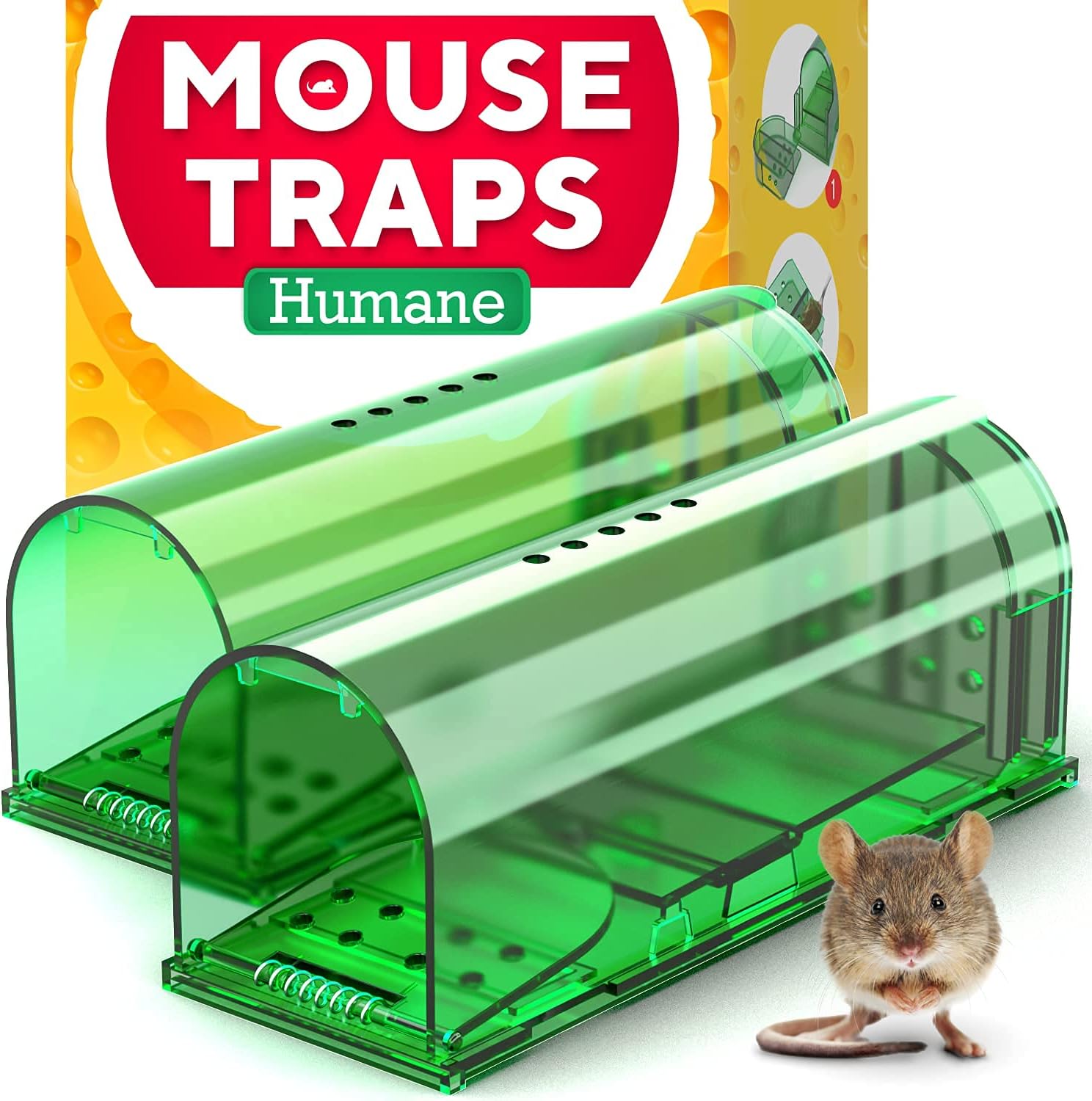 Amazon.com : Catcha 2 Piece Humane Smart Mouse Trap Live Catch and ...