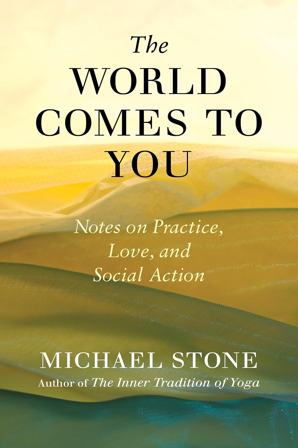 The World Comes to You: Notes on Practice, Love, and Social Action ...