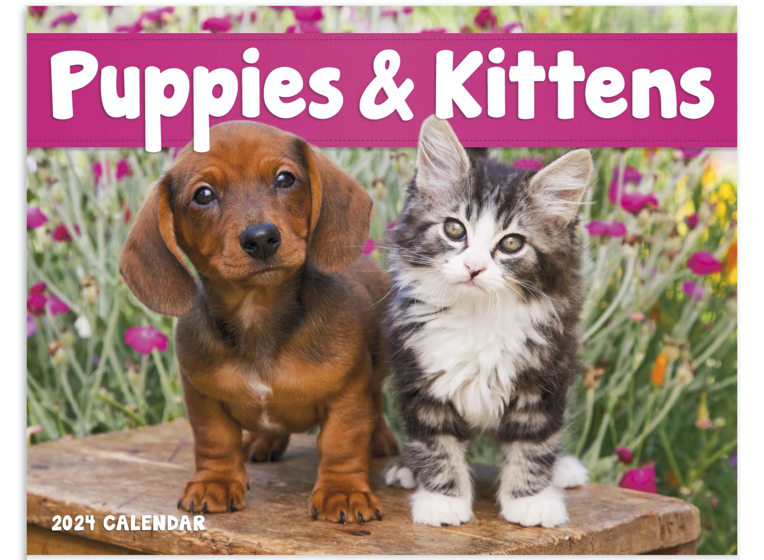Amazon.com: Cute Puppies and Kitties 2024 Hanging Wall Calendar - 19" x ...