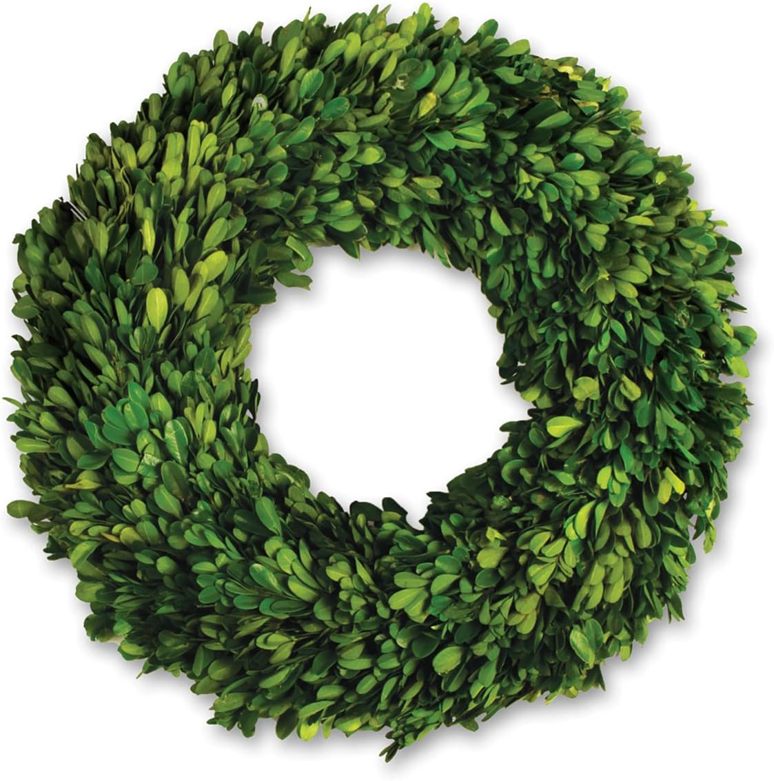 Amazon.com: Napa Home & Garden Preserved Boxwood 16 Inch Wreath 16 ...