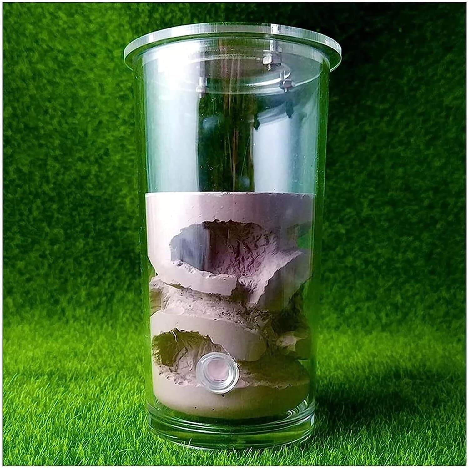 Amazon.co.jp: Ant Breeding Nest, Natural Sand Ant Farm, Cup-shaped Ant ...