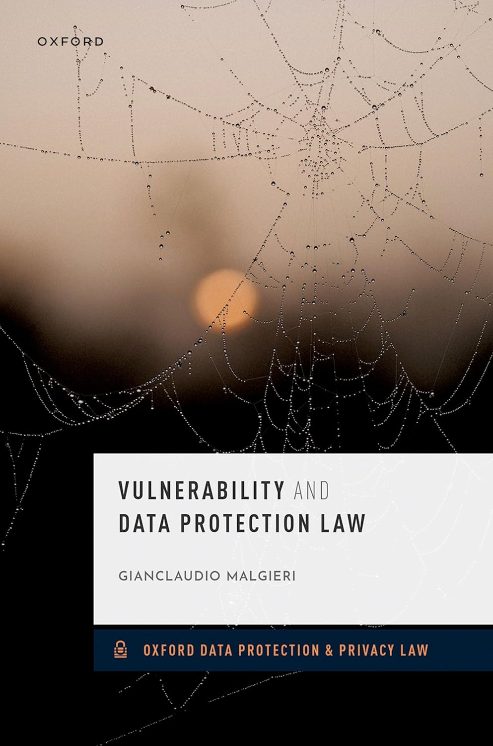 Vulnerability and Data Protection Law (Oxford Data Protection & Privacy ...