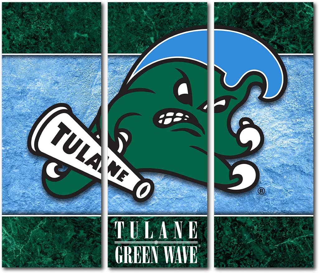 Amazon.com: Tulane University Green Wave Canvas Wall Art Triptych ...