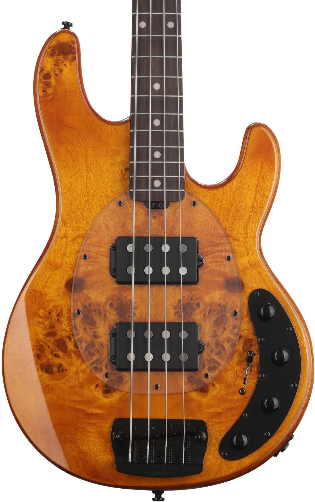 Amazon.com: Sterling By Music Man StingRay RAY34HH Bass Guitar - Amber ...