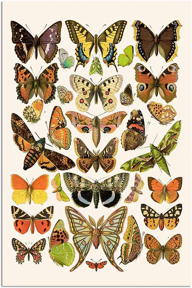 Amazon.com: Vintage Papillon Butterfly Poster,Butterflies Poster Canvas ...