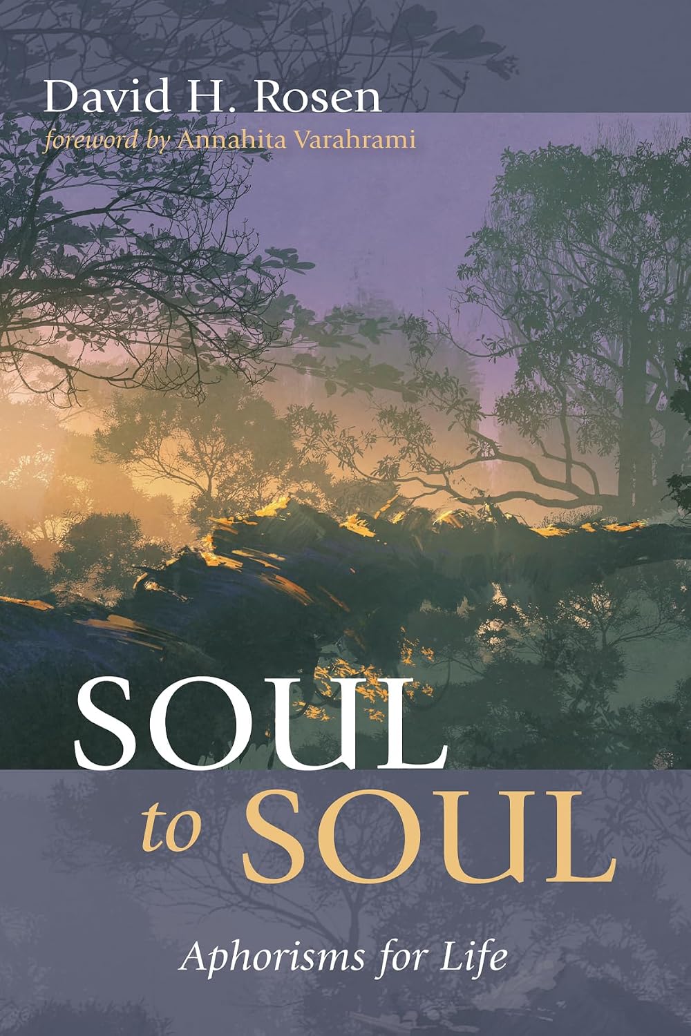 Soul to Soul: Aphorisms for Life: Rosen, David H., Varahrami, Annahita ...