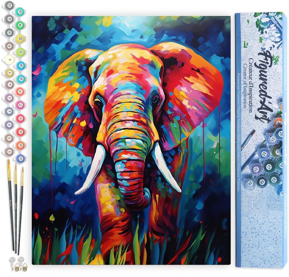 Amazon.com: Figured'Art Paint by Numbers for Adults Colorful Abstract ...