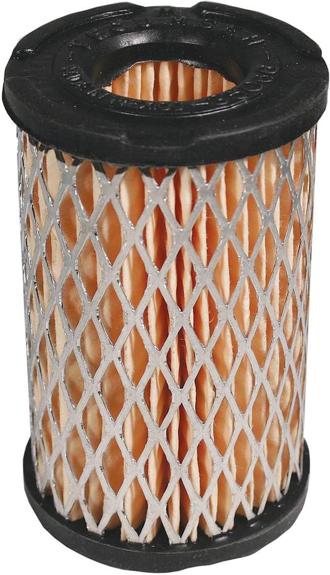 Amazon.com: Mannial 35066 Air Filter for Tecumseh 740095 63087A 050128 ...
