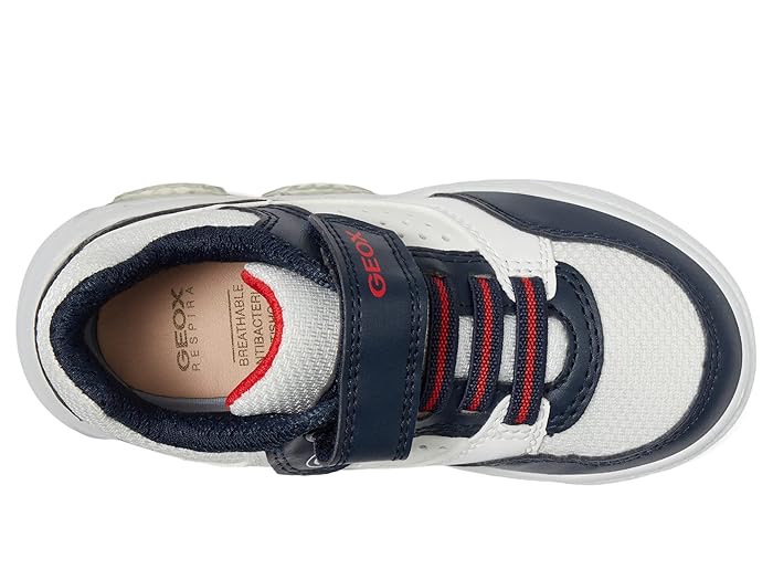 Geox Kids Illuminus 1 (Toddler/Little Kid/Big Kid) - Big Apple Buddy