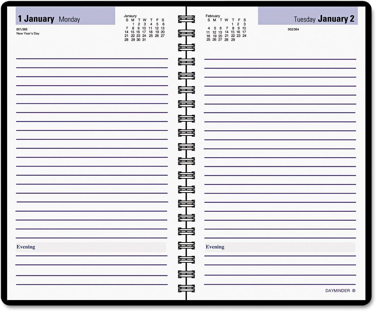 Amazon.com : DayMinder SK46-00 Recycled Daily Appointment Book, Black ...