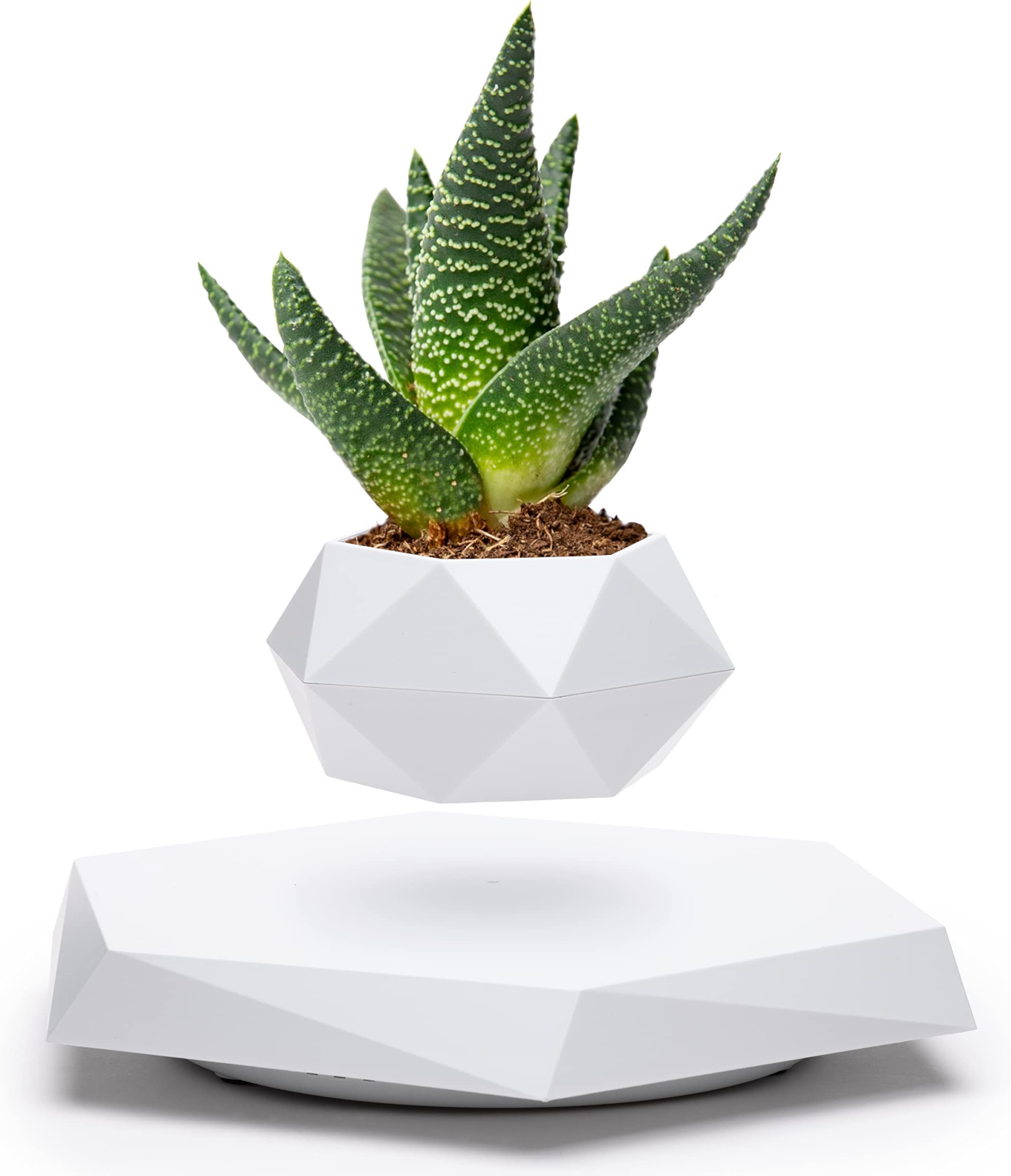 Amazon.com : Levitating Air Bonsai Pot, Rotation Flower Planters ...