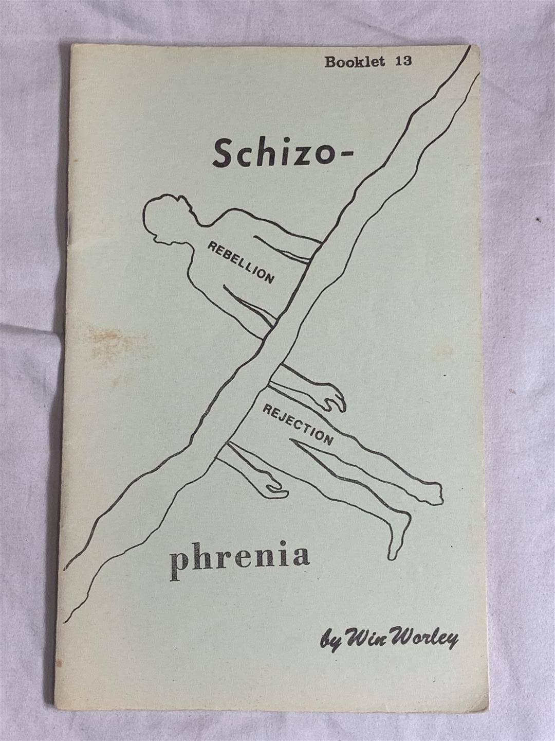 Schizophrenia: Win Worley: Amazon.com: Books