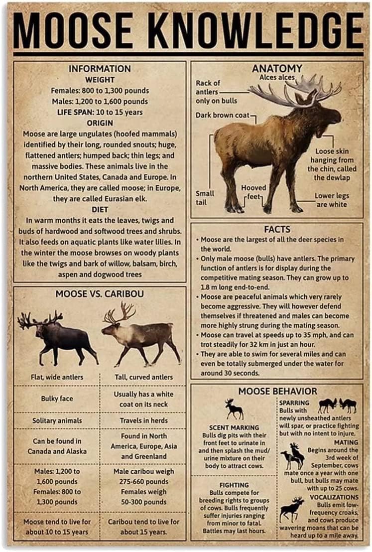 Amazon.com : Metal Knowledge Signs Moose Knowledge Tin Signs Vintage ...