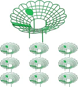 10Pack Strawberry Supports - Strawberry Plant Support Stand Strawberry ...