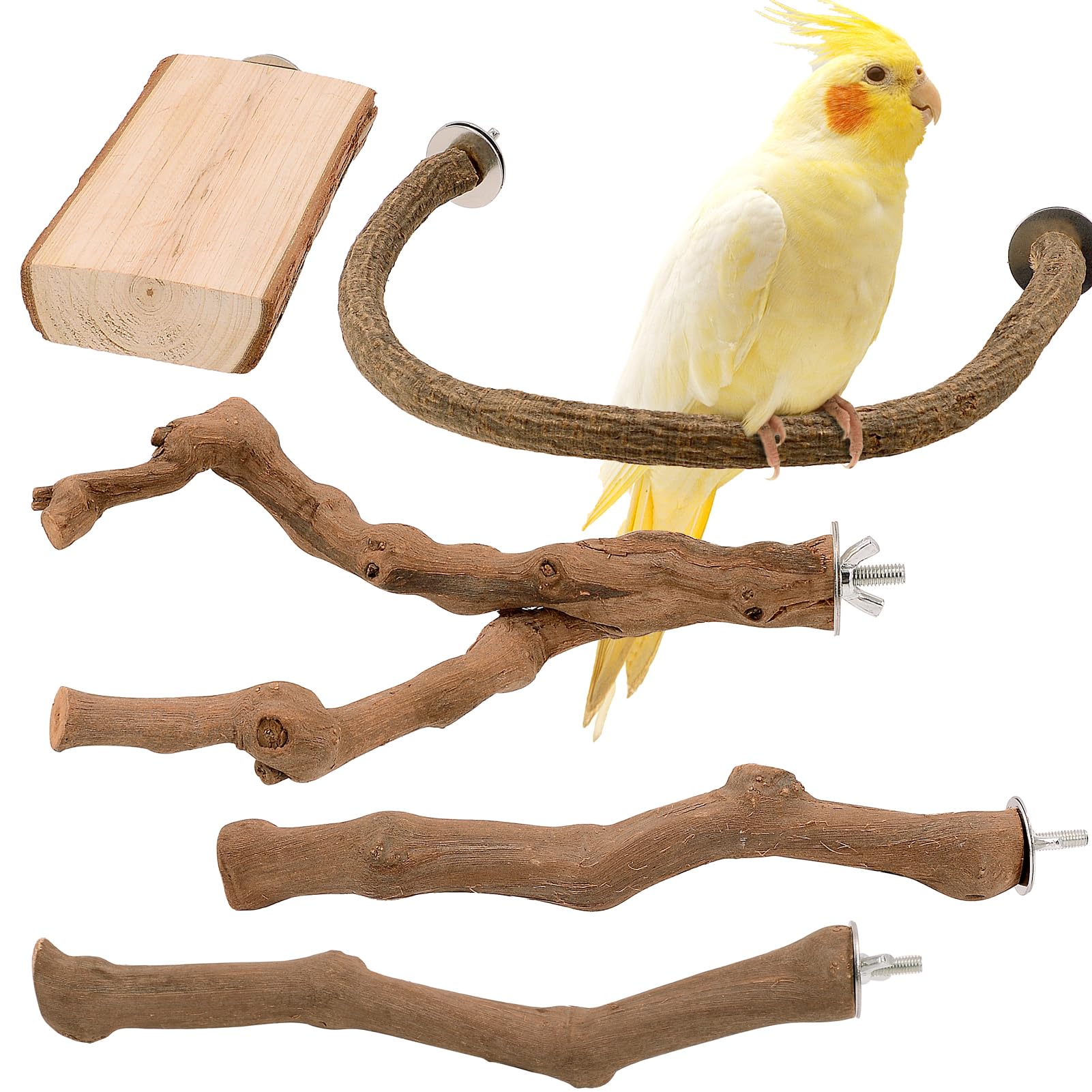 Amazon.com : BRSLAIF Natural Bird Perches for Cage, Bird Parakeet Cage ...