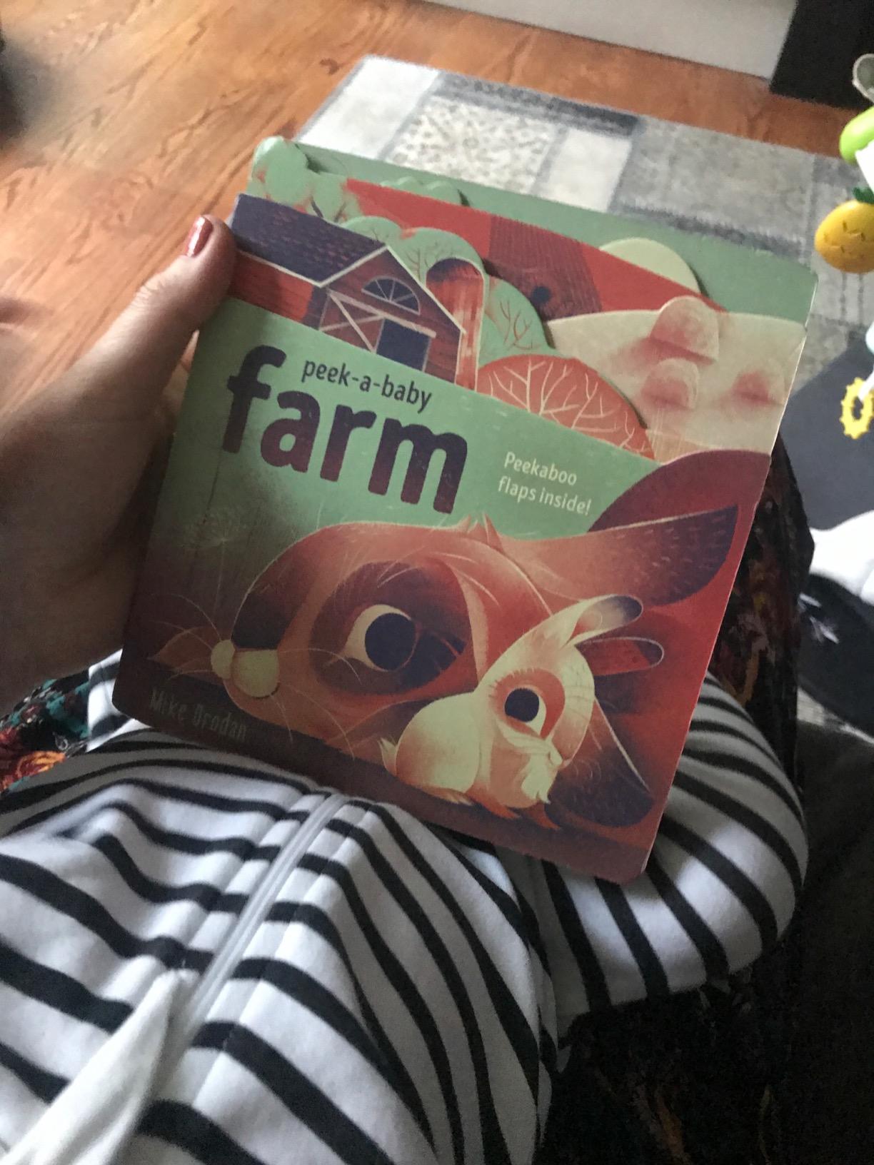 Peek-a-Baby: Farm: Peekaboo flaps inside!: Orodan, Mike: 9781452166452 ...