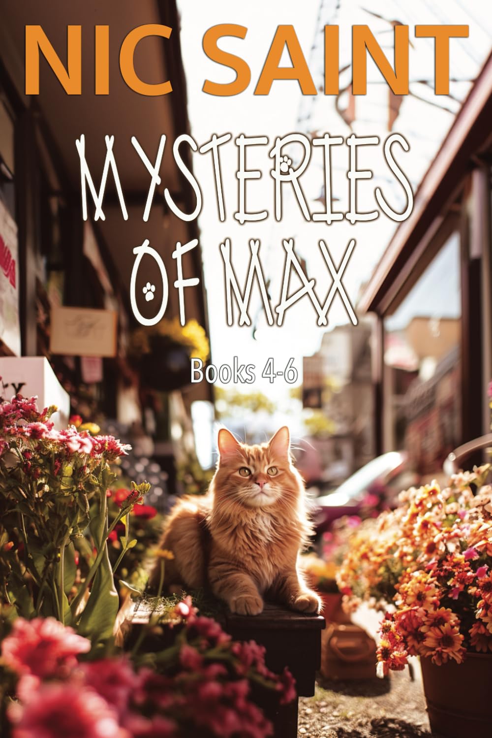 Amazon.com: Mysteries of Max: Books 4-6 (Mysteries of Max Collection ...
