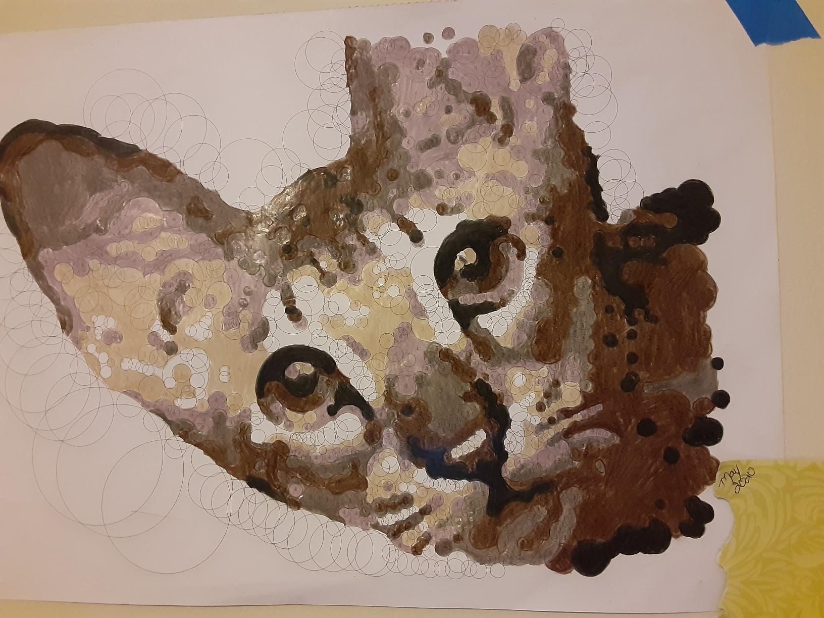 Amazon.com: Querkles: Cats: 9781626867925: Pavitte, Thomas: Books