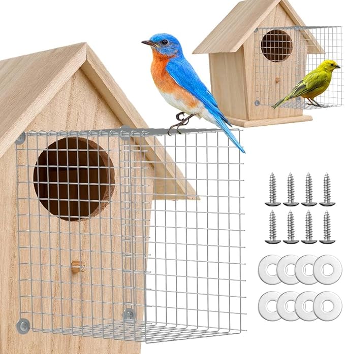 Amazon.com : Derkerry Bluebird House Protector Guards - 2 Pcs Bird ...