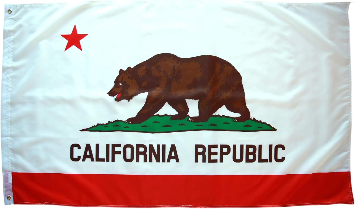 Amazon.com : 3x5 California Flag California State Flag - 3 x 5 Flags ...