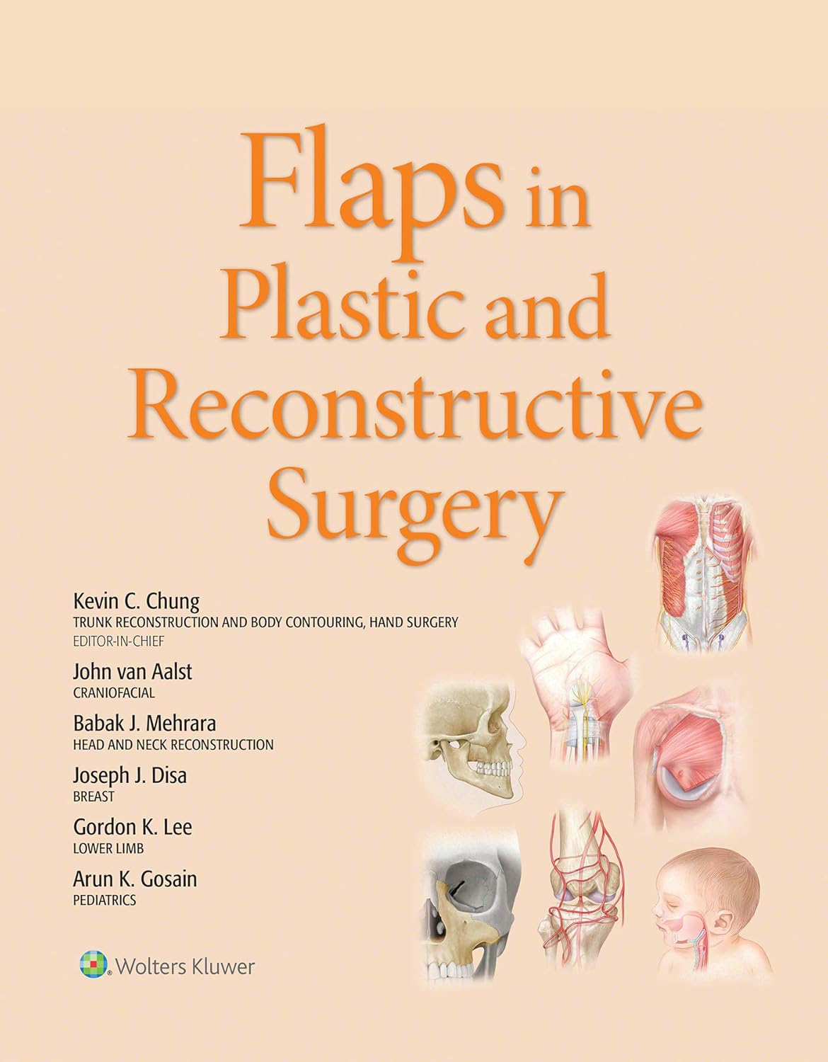 Flaps in Plastic and Reconstructive Surgery eBook : Aalst, John van ...