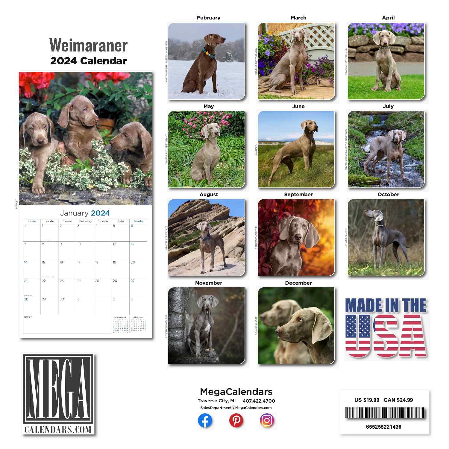 Snapklik.com : Weimaraner Calendar 2024 - Dog Breed Wall Calendar