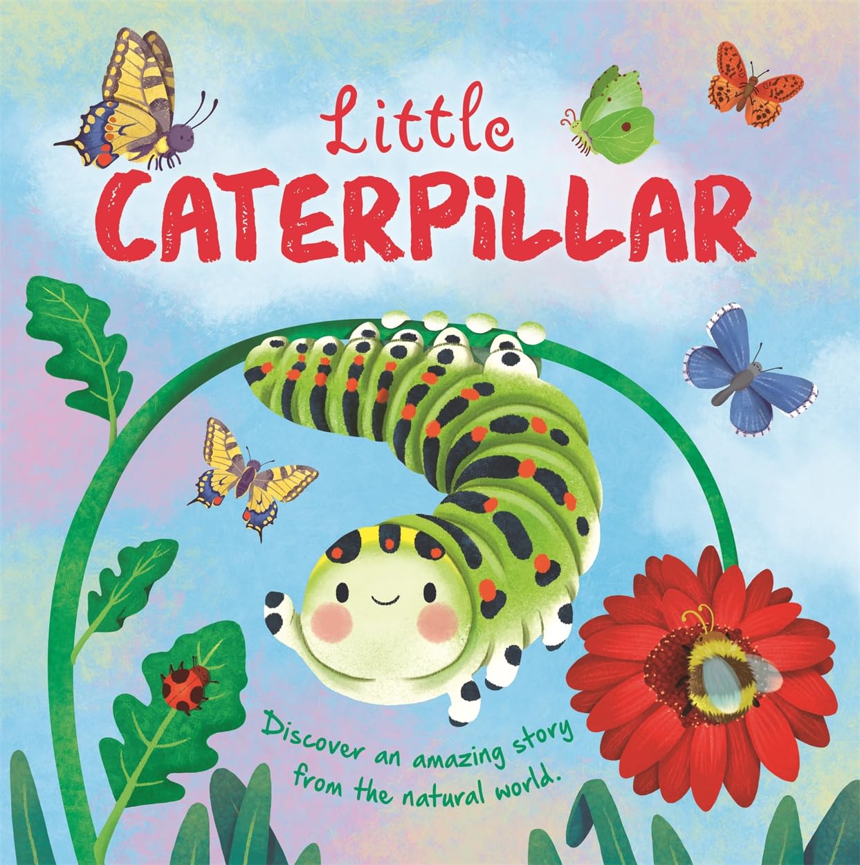 Little Caterpillar (An illustrated story about the life-cycle of a ...