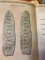 Amazon.com: Phonic Books Totem: Decodable Books for Older Readers (CVC ...