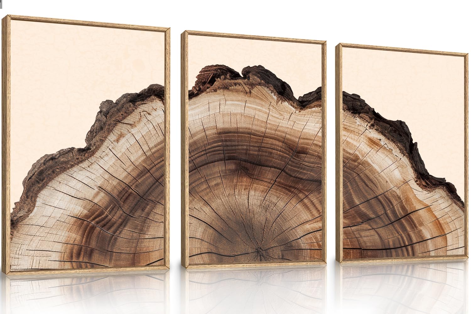 Amazon.com: KAIRNE Framed Tree Ring Wall Art Set, Retro Wood Stump Wall ...