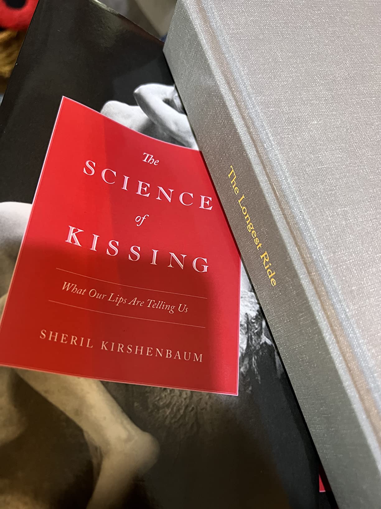 Amazon.com: The Science of Kissing By Kirshenbaum Sheril: 9780446559904 ...